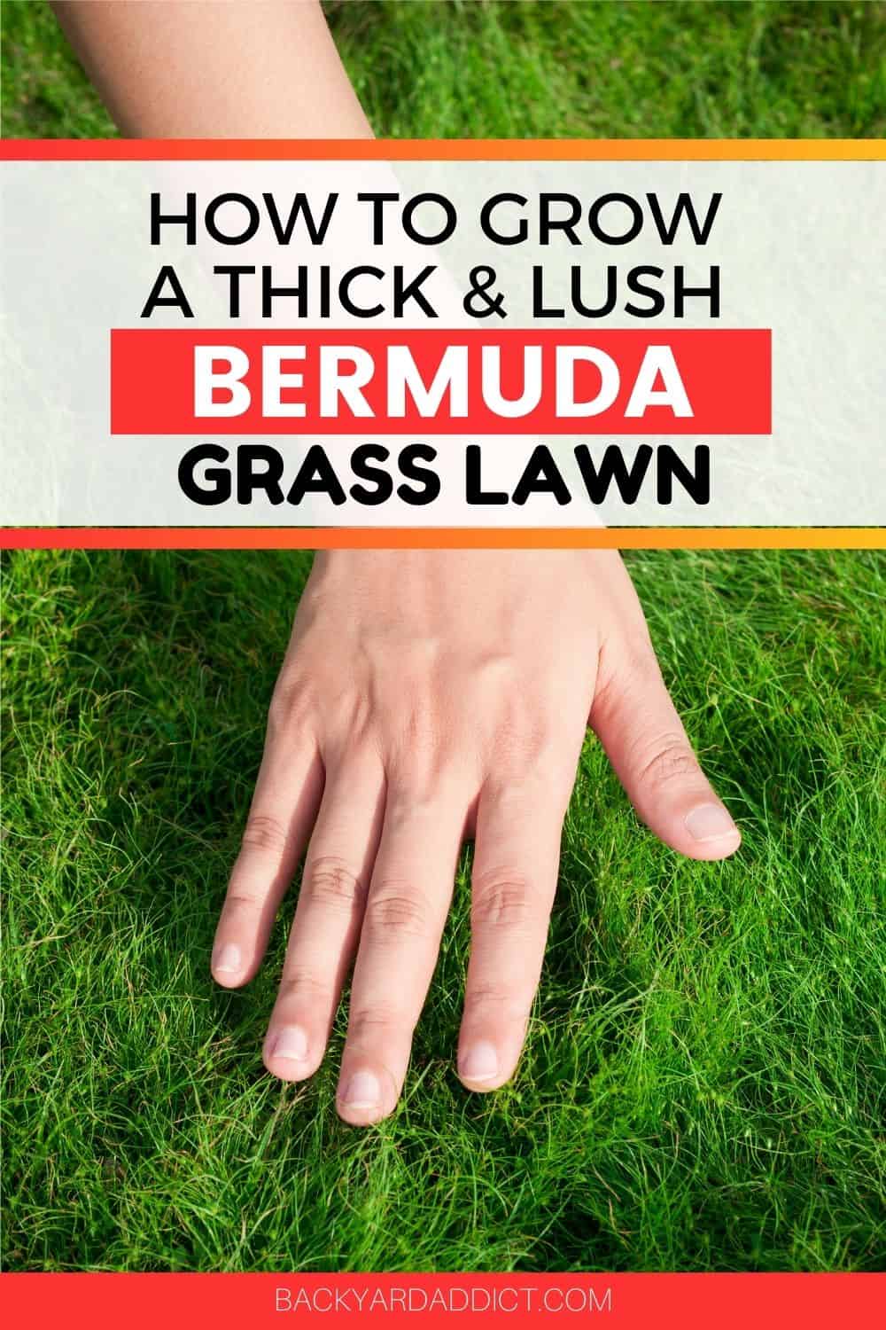 How To Make Bermuda Grass Thicker: 6 Techniques You Need To Know | My Garden Days