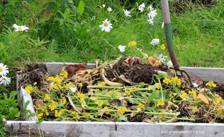 Mold in Compost: Should You Worry? How to Handle It. | My Garden Days