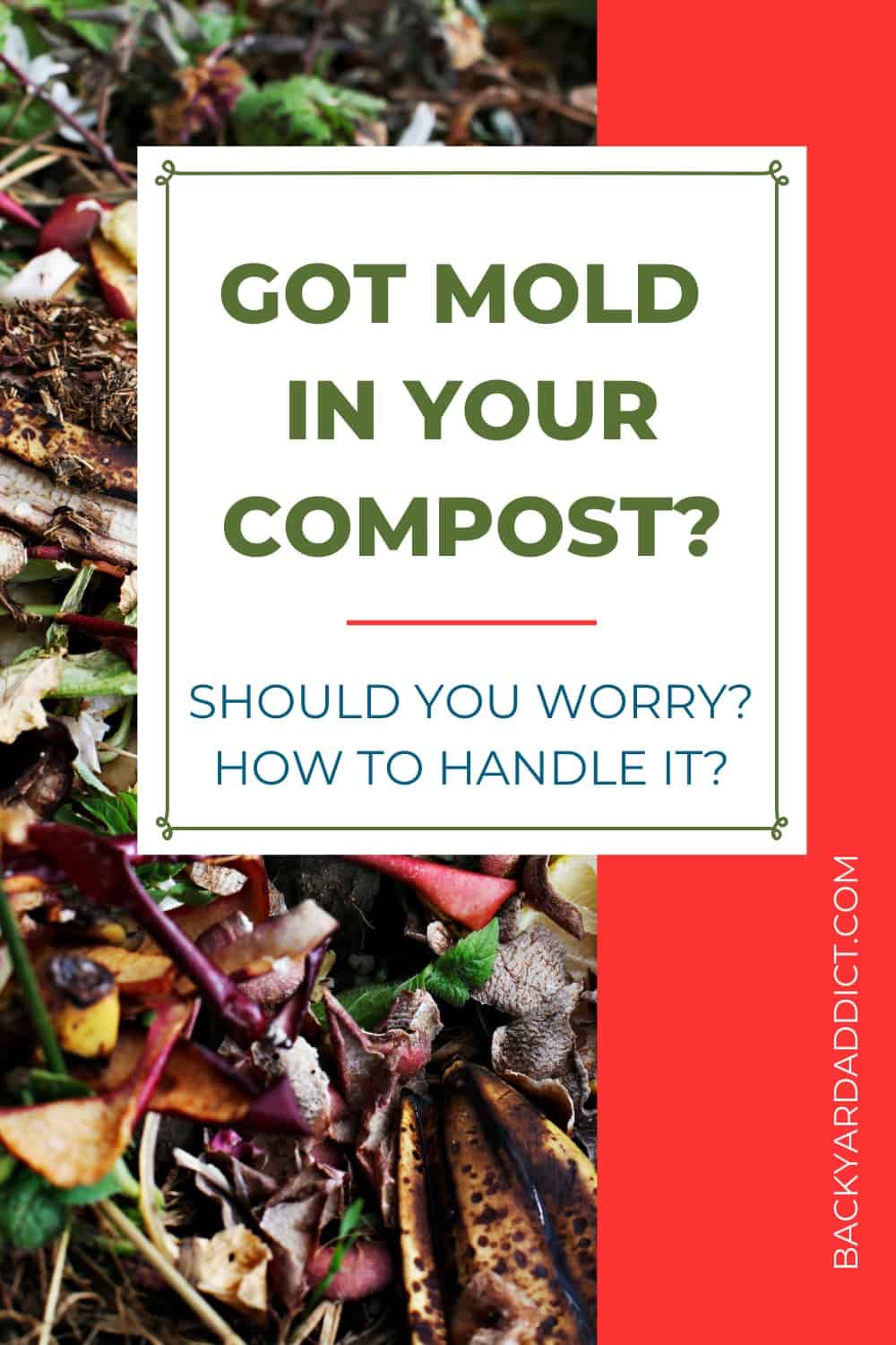 Mold in Compost: Should You Worry? How to Handle It. | My Garden Days