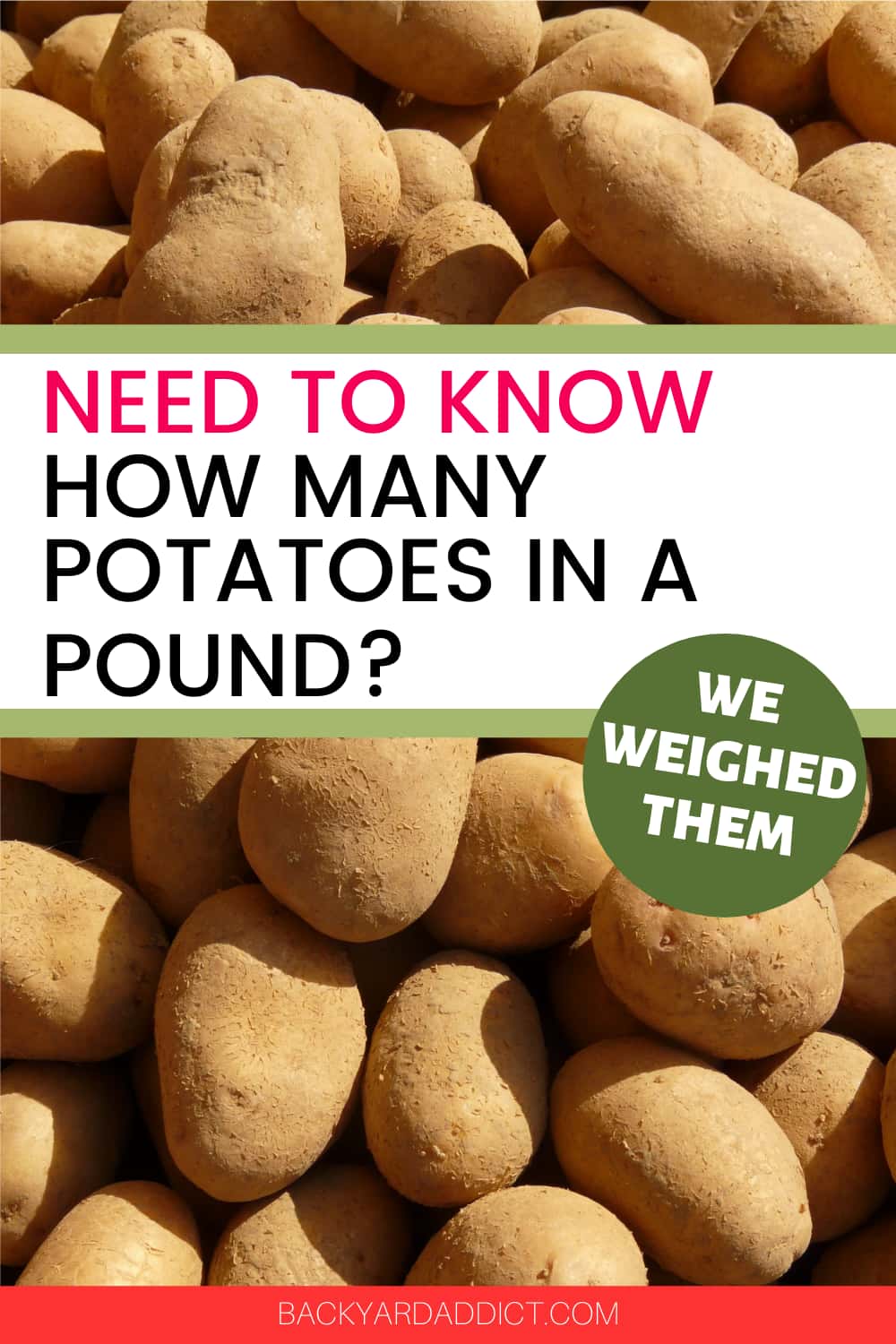 How Many Potatoes In A Pound? We Weighed Them! | My Garden Days