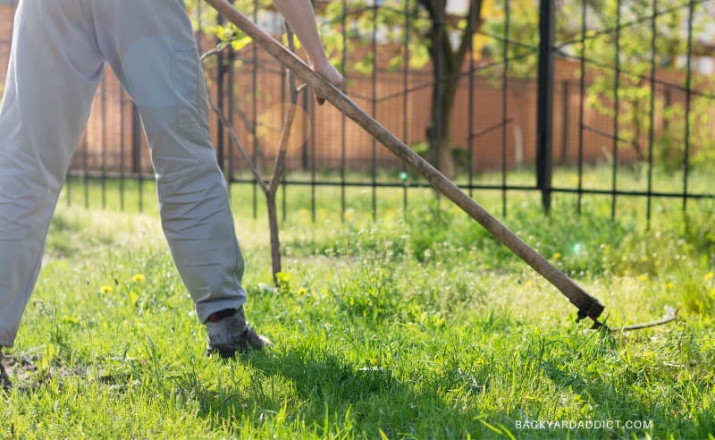 How to Cut Grass Without a Mower: 5 Creative Ideas | My Garden Days