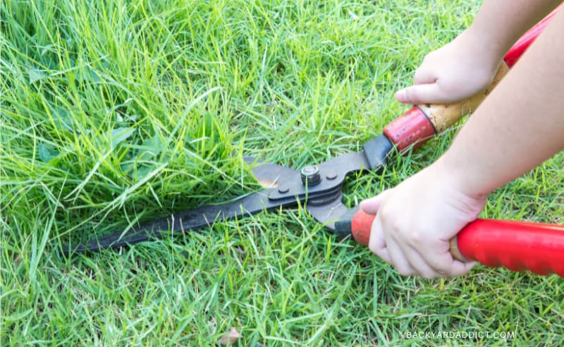 How to Cut Grass Without a Mower: 5 Creative Ideas | My Garden Days