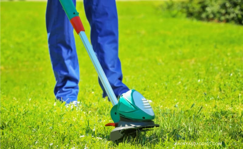 How to Cut Grass Without a Mower: 5 Creative Ideas | My Garden Days
