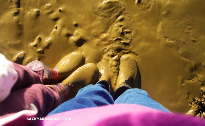 How To Cover Up Mud in Your Backyard For Good | My Garden Days