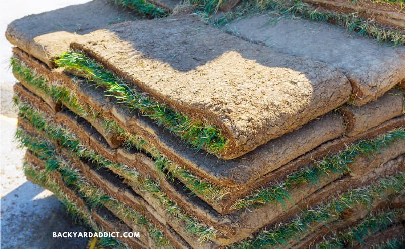 How To Cover Up Mud in Your Backyard For Good | My Garden Days