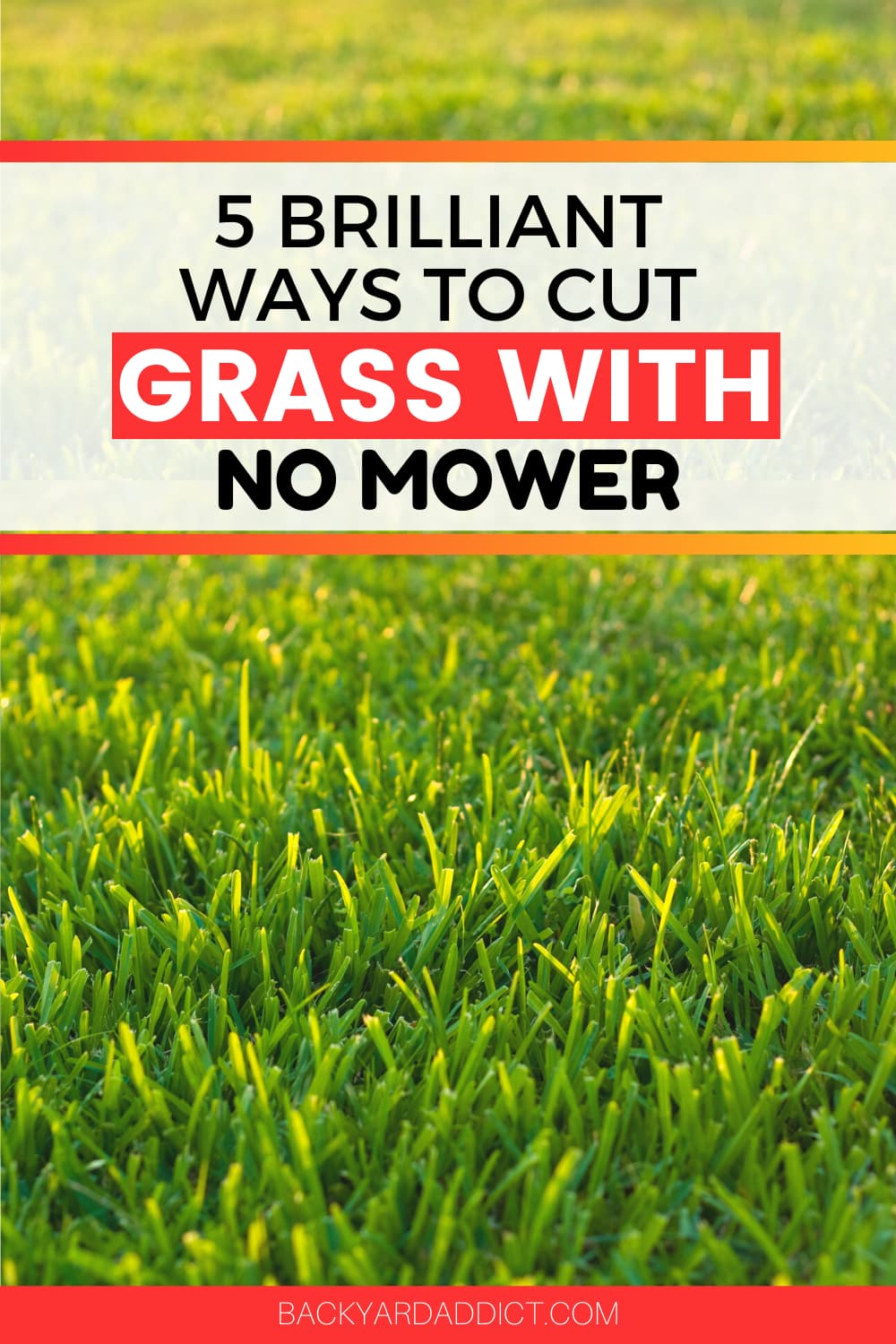 How to Cut Grass Without a Mower: 5 Creative Ideas | My Garden Days
