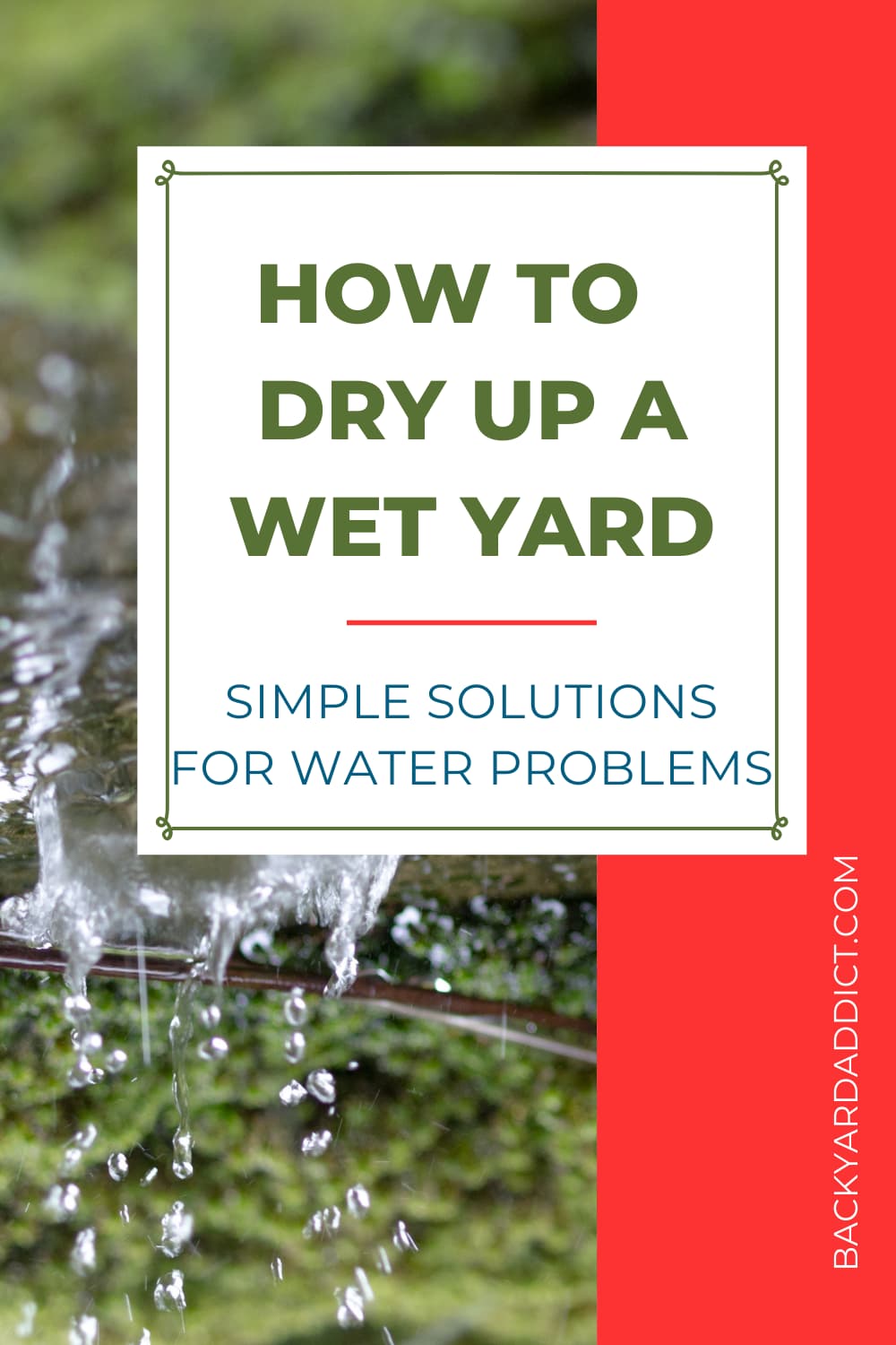 How to Dry Up A Wet Yard Fast: Fixing Water Problems | My Garden Days