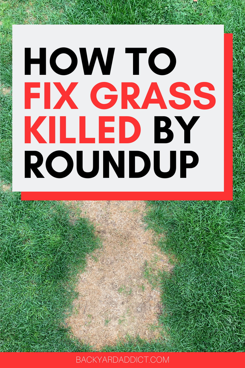 How to Fix Grass Killed by Roundup: What You Need To Know | My Garden Days