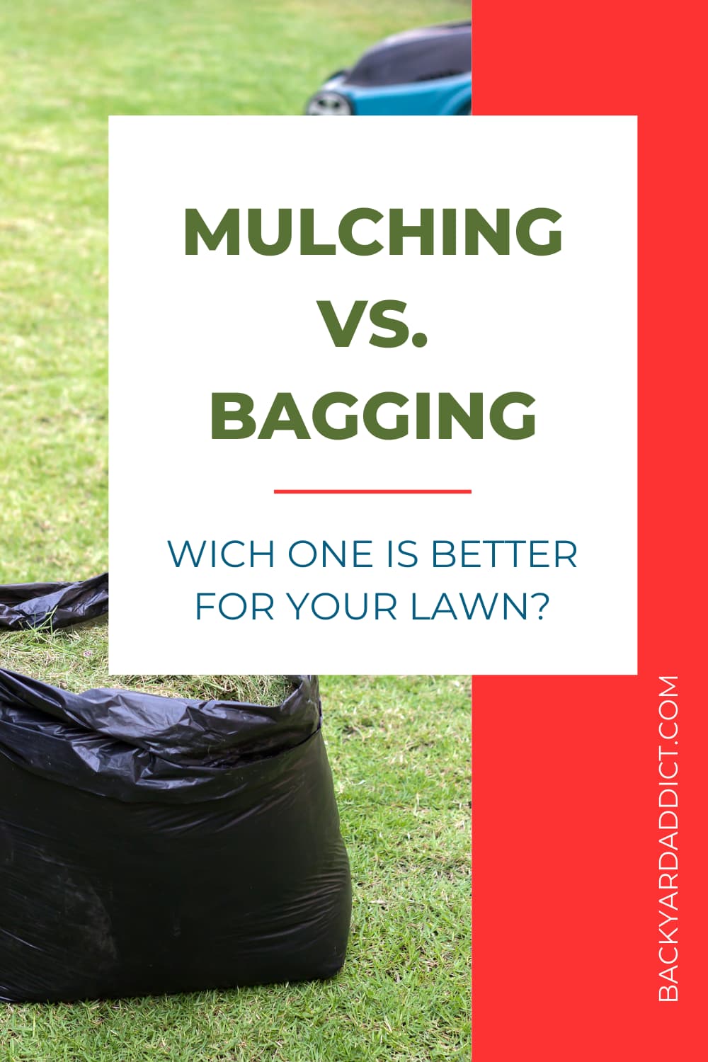 Mulching vs. Bagging Grass Clippings: Which is Best For Your Lawn? | My ...
