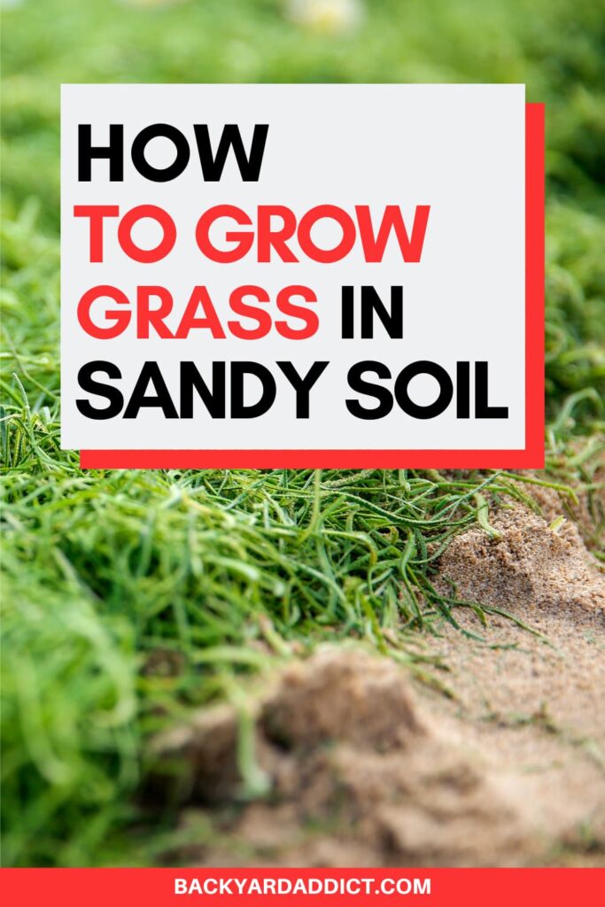 How To Grow Grass In Sandy Soil: A DIY Guide | My Garden Days