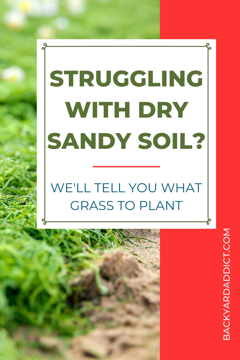 How To Grow Grass In Sandy Soil: A DIY Guide | My Garden Days
