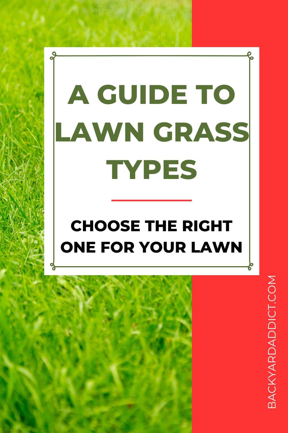 Different Types of Grass: How to Choose For Your Lawn | My Garden Days